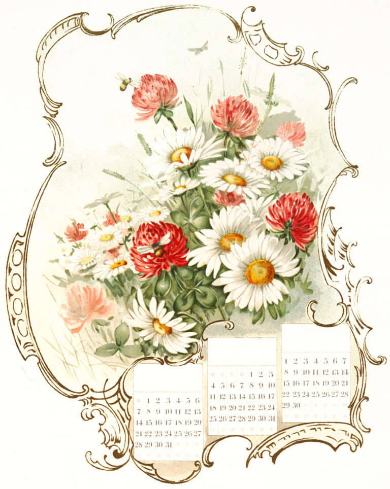 7 Floral Calendar Page Images - Shabby! - The Graphics Fairy