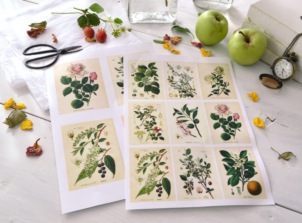 Botanical Stickers