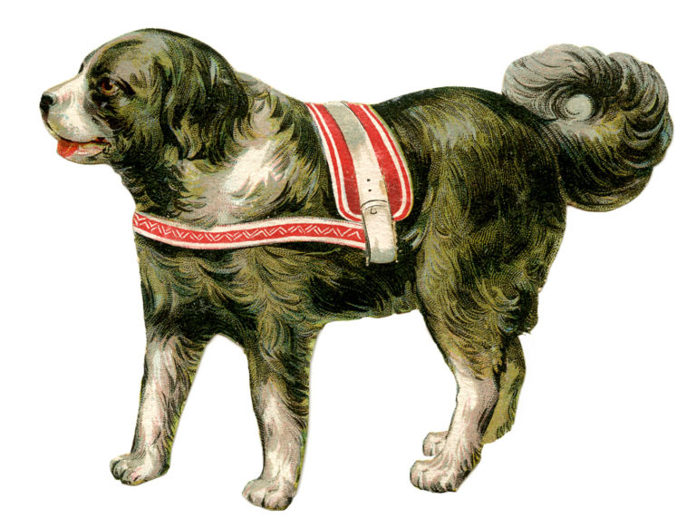 30 Vintage Dog Images! - The Graphics Fairy