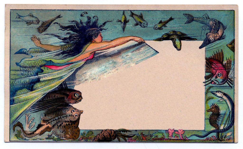 15 Mermaid Clip Art Images! - The Graphics Fairy