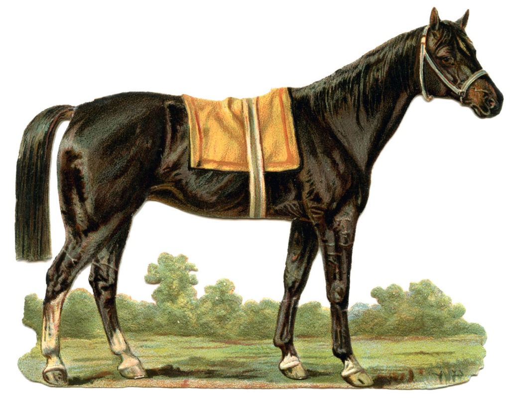 19 Horse Clip Art: Horses Clipart! - The Graphics Fairy