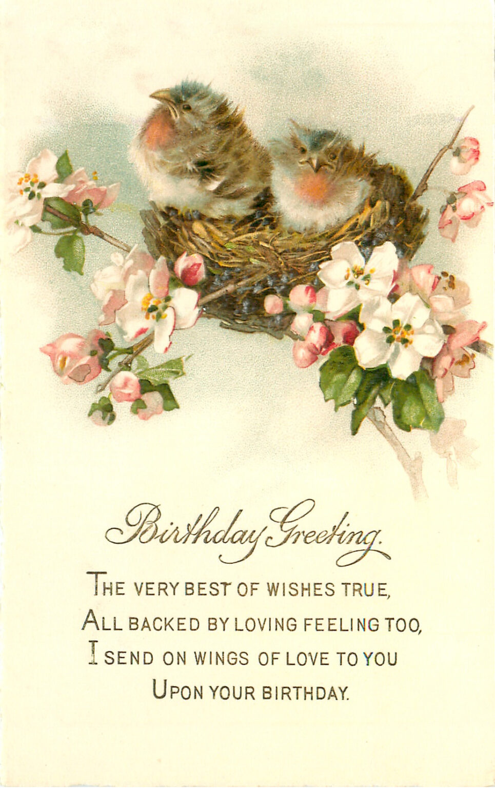 16 Happy Birthday Bird Images! - The Graphics Fairy