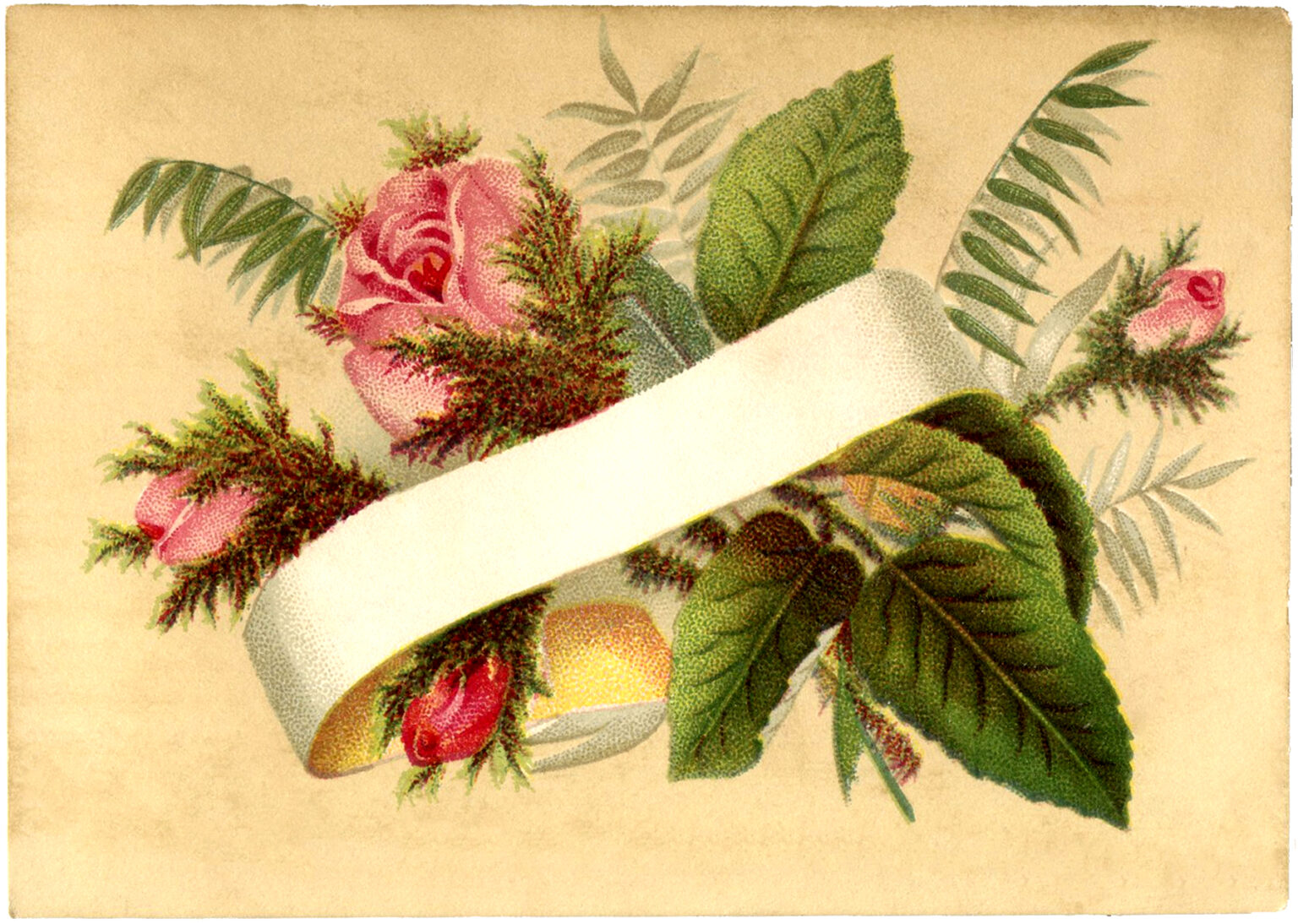 28 Victorian Calling Card Images! - The Graphics Fairy