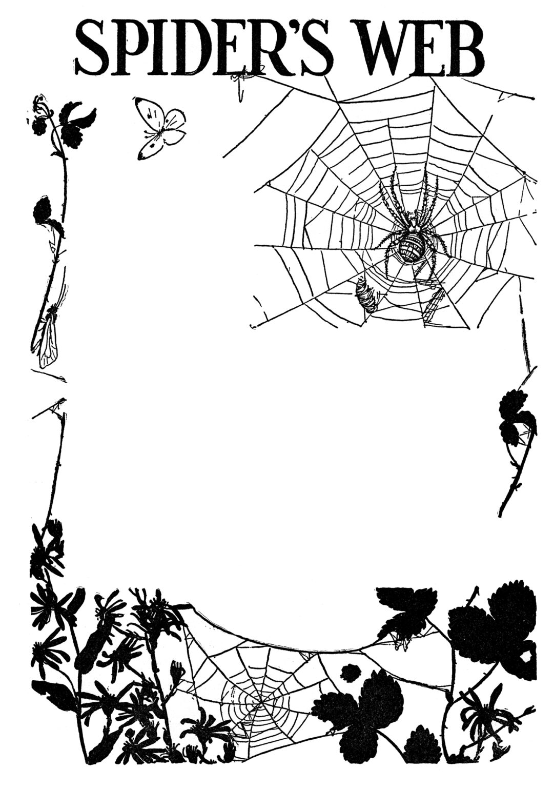 12+ Spider Web Clipart! - The Graphics Fairy