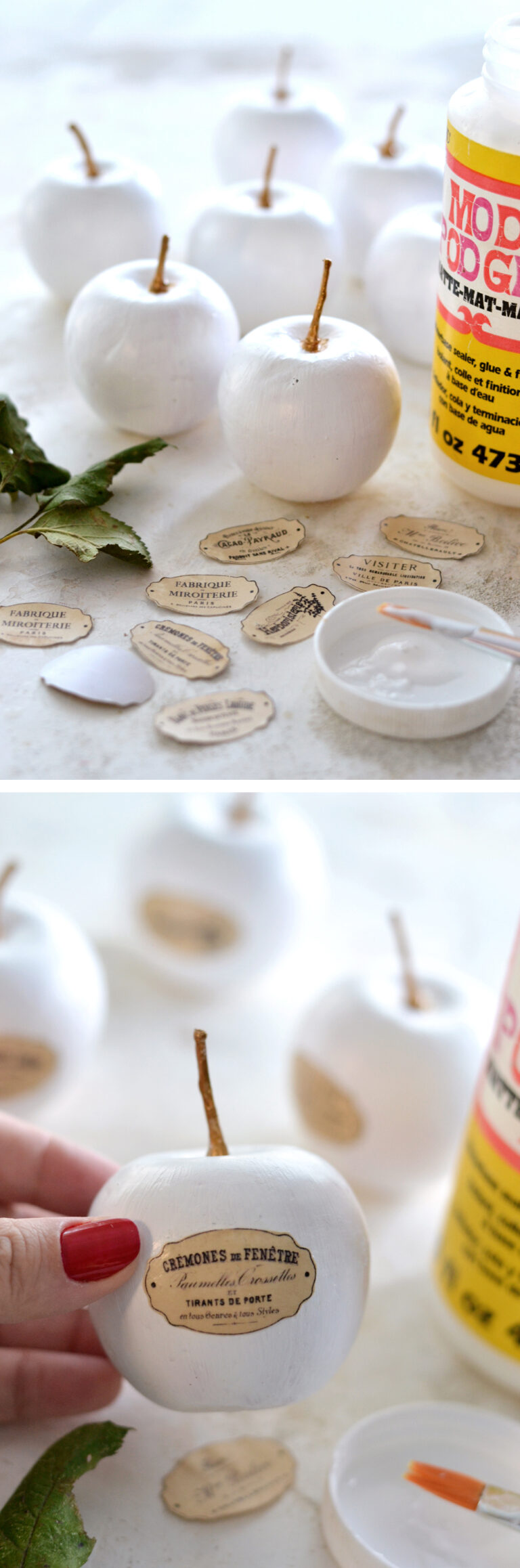 DIY Apple Decor - Free Printable Included! - The Graphics Fairy