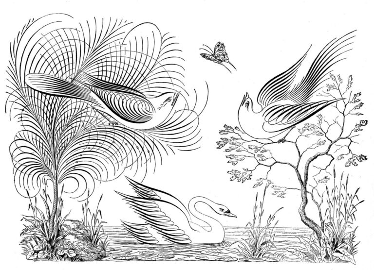 16 Calligraphy Bird Images - Pen Flourished! - The Graphics Fairy