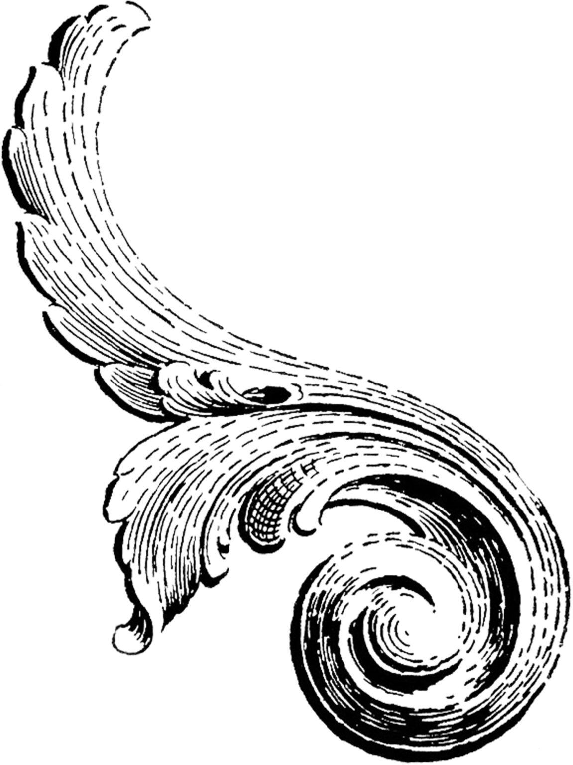 18 Carved Ornamental Design Images! - The Graphics Fairy