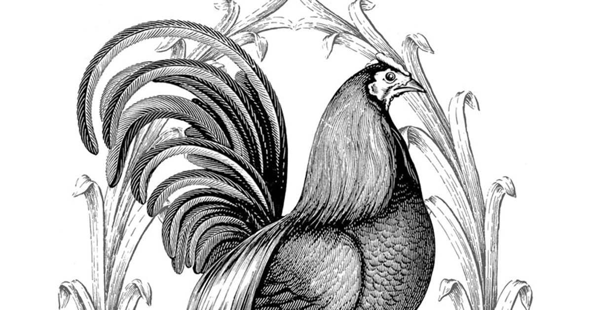 12 Printable Transfers with Animals! - The Graphics Fairy