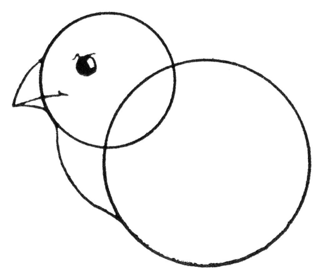 Chick Drawing (5 Easy Steps!) - The Graphics Fairy