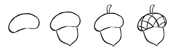 Acorn Drawing: (4 Easy Steps)! - The Graphics Fairy