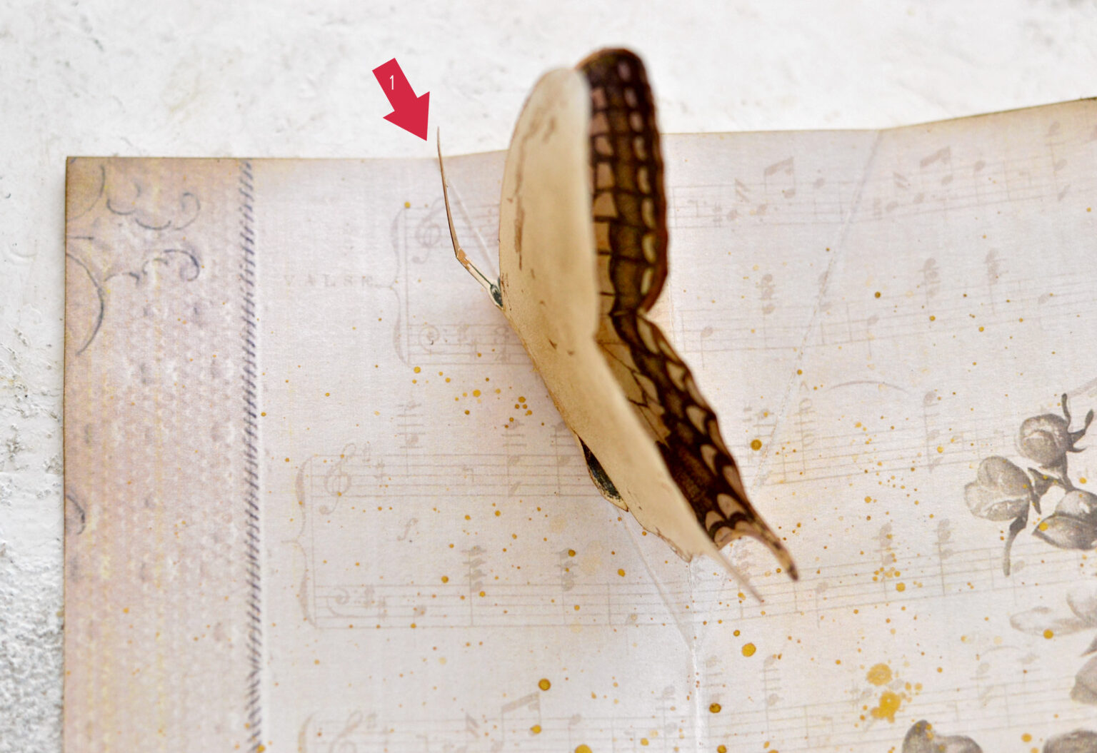 How to make a Pop Out Birthday Card! - The Graphics Fairy