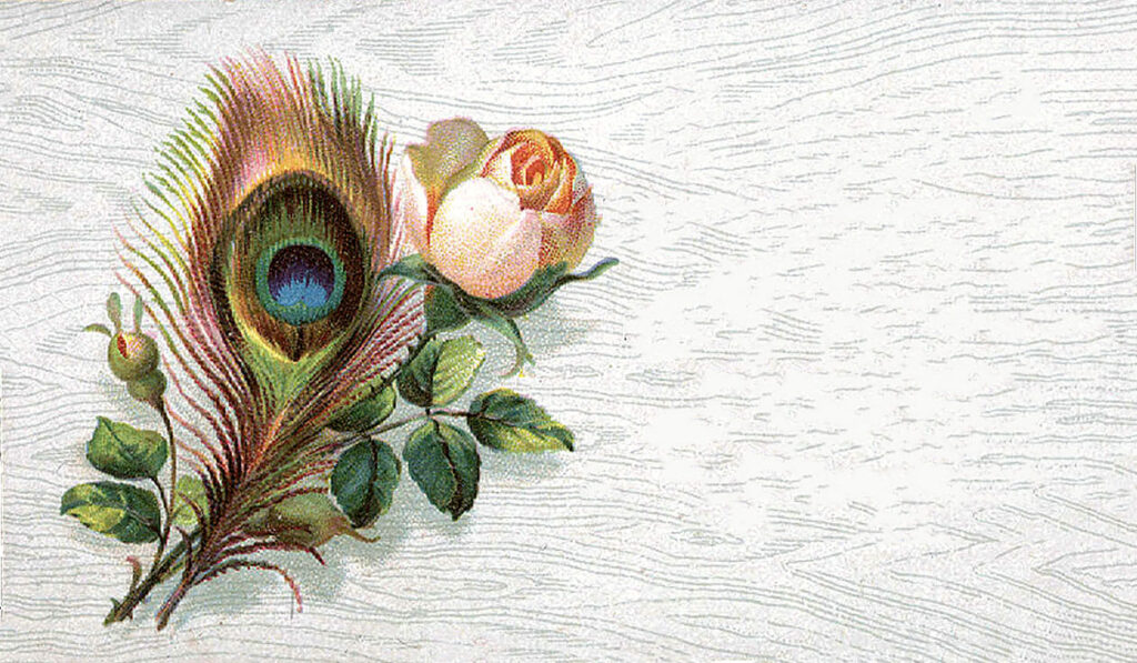28 Victorian Calling Card Images! - The Graphics Fairy