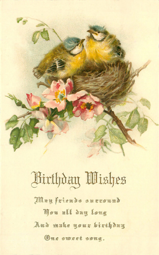 16 Happy Birthday Bird Images! - The Graphics Fairy