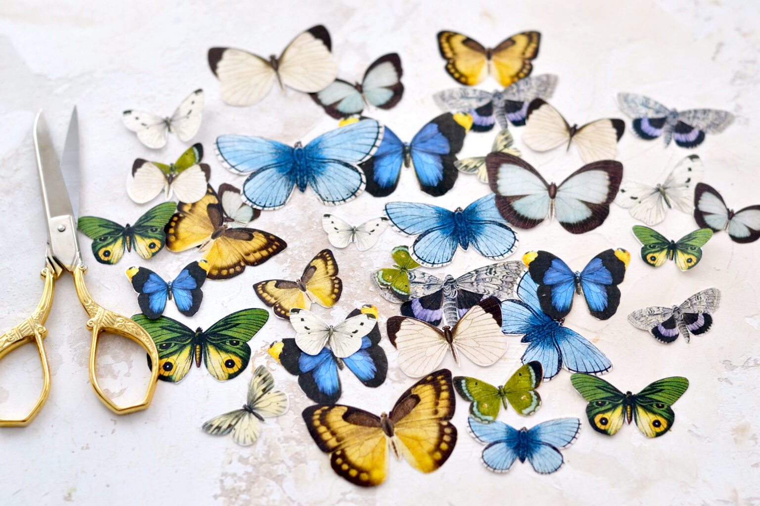 DIY Butterfly Box! - The Graphics Fairy