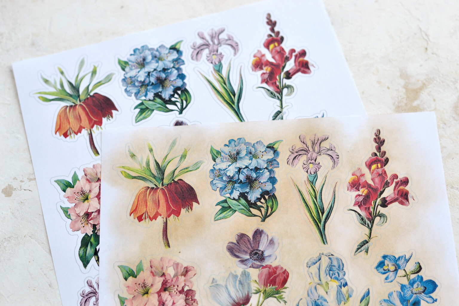 DIY Vintage Flower Stickers - The Graphics Fairy