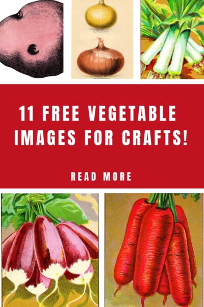 12 Root Vegetable Images! - The Graphics Fairy