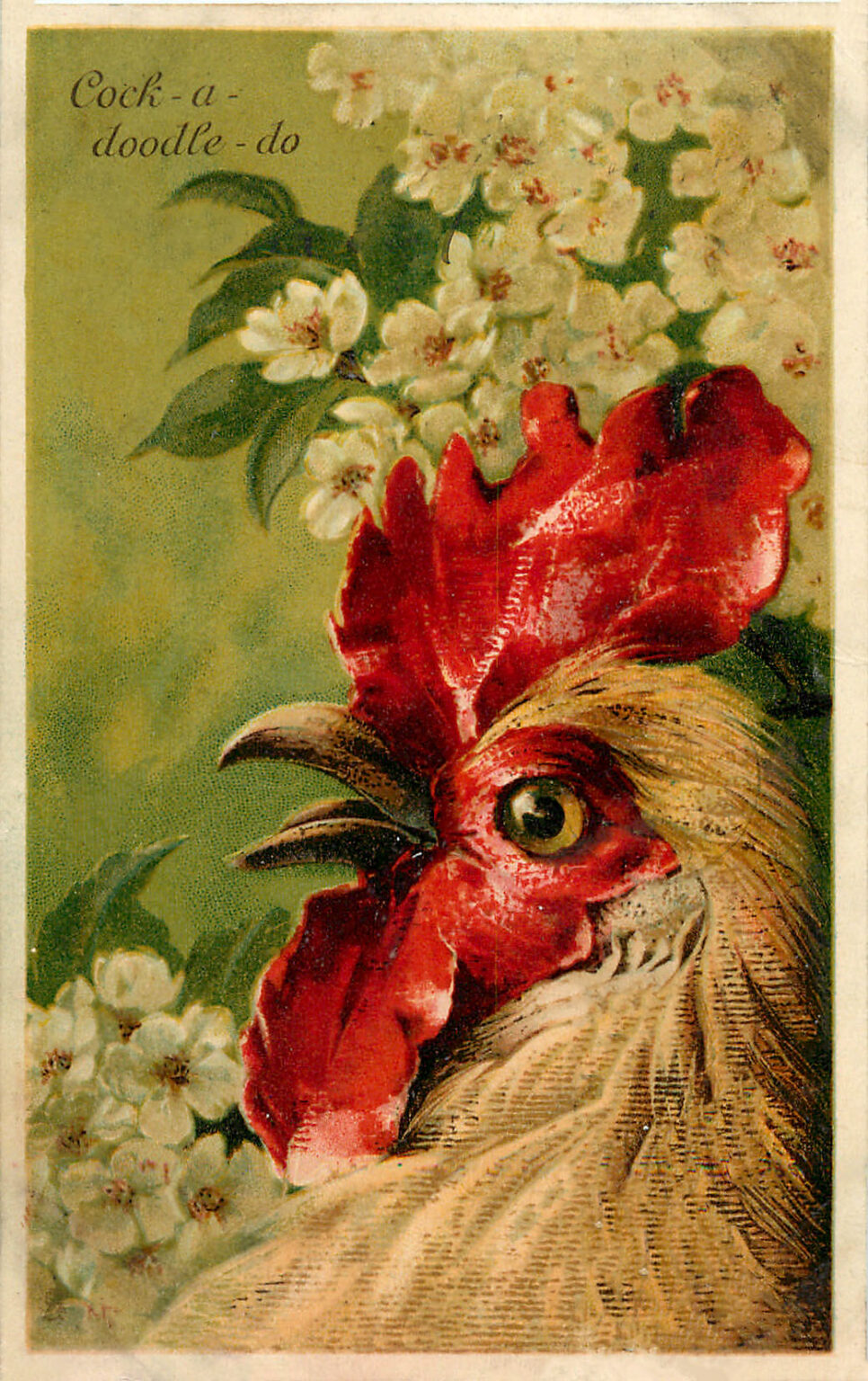 19 Rooster Images! - The Graphics Fairy