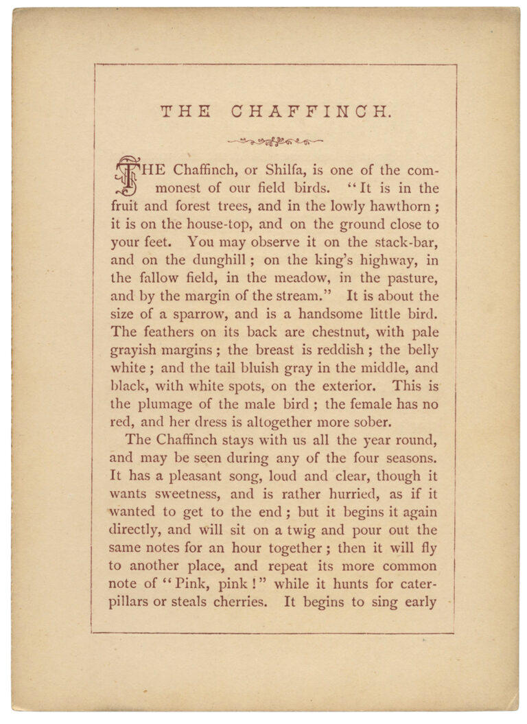 16 Ephemera Bird and Poem Cards! - The Graphics Fairy