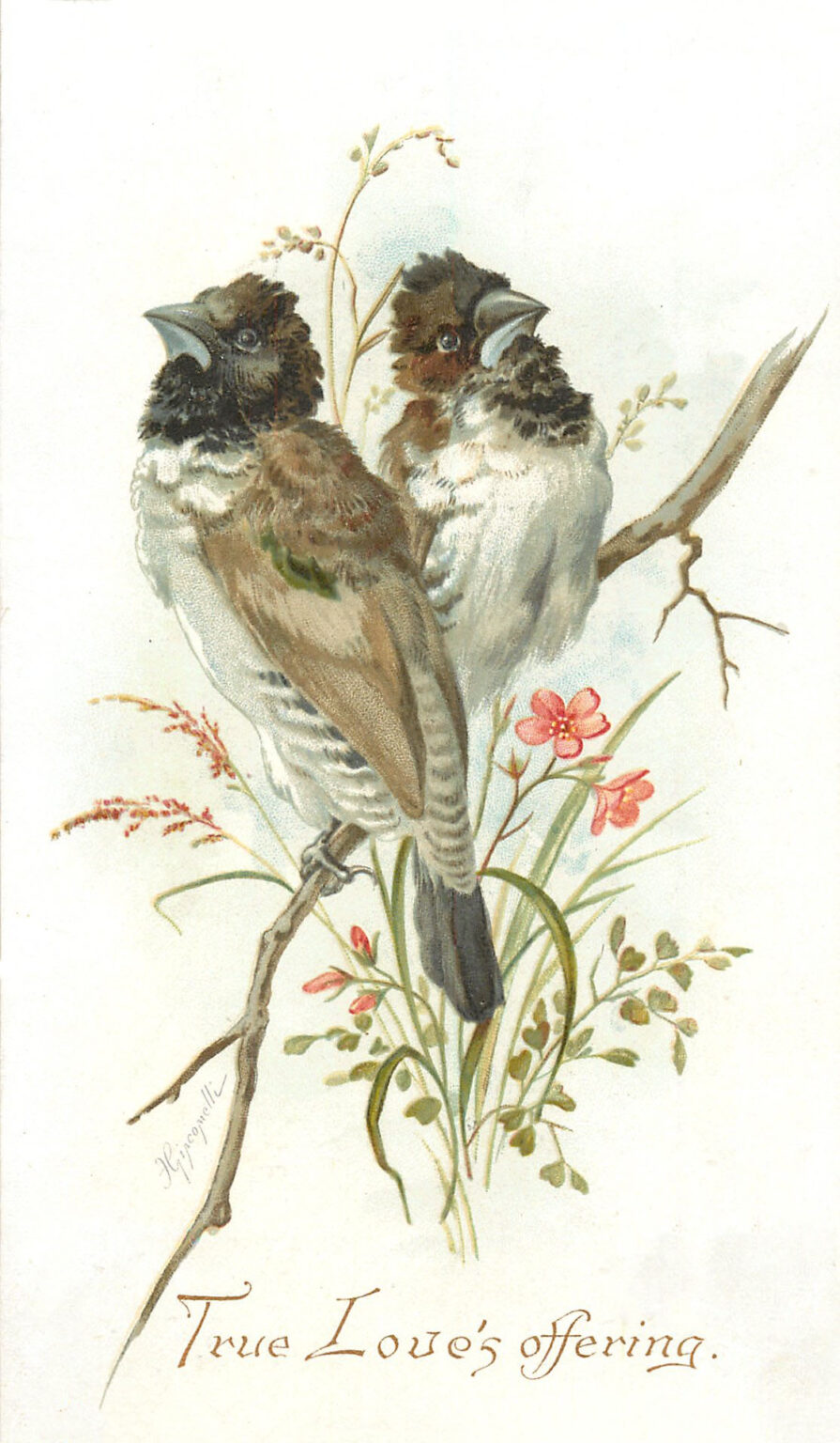 18 Birds with Flowers Images! - The Graphics Fairy