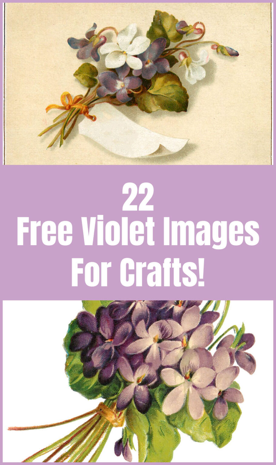 23 Pictures of Violets! - The Graphics Fairy