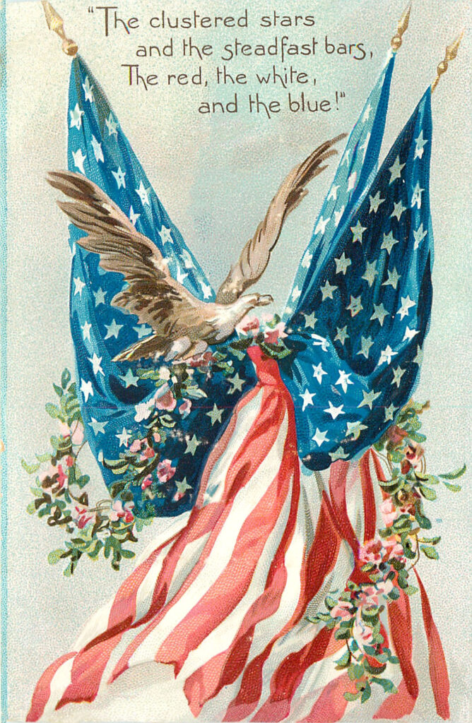 14 Bald Eagle Clipart (American) - The Graphics Fairy