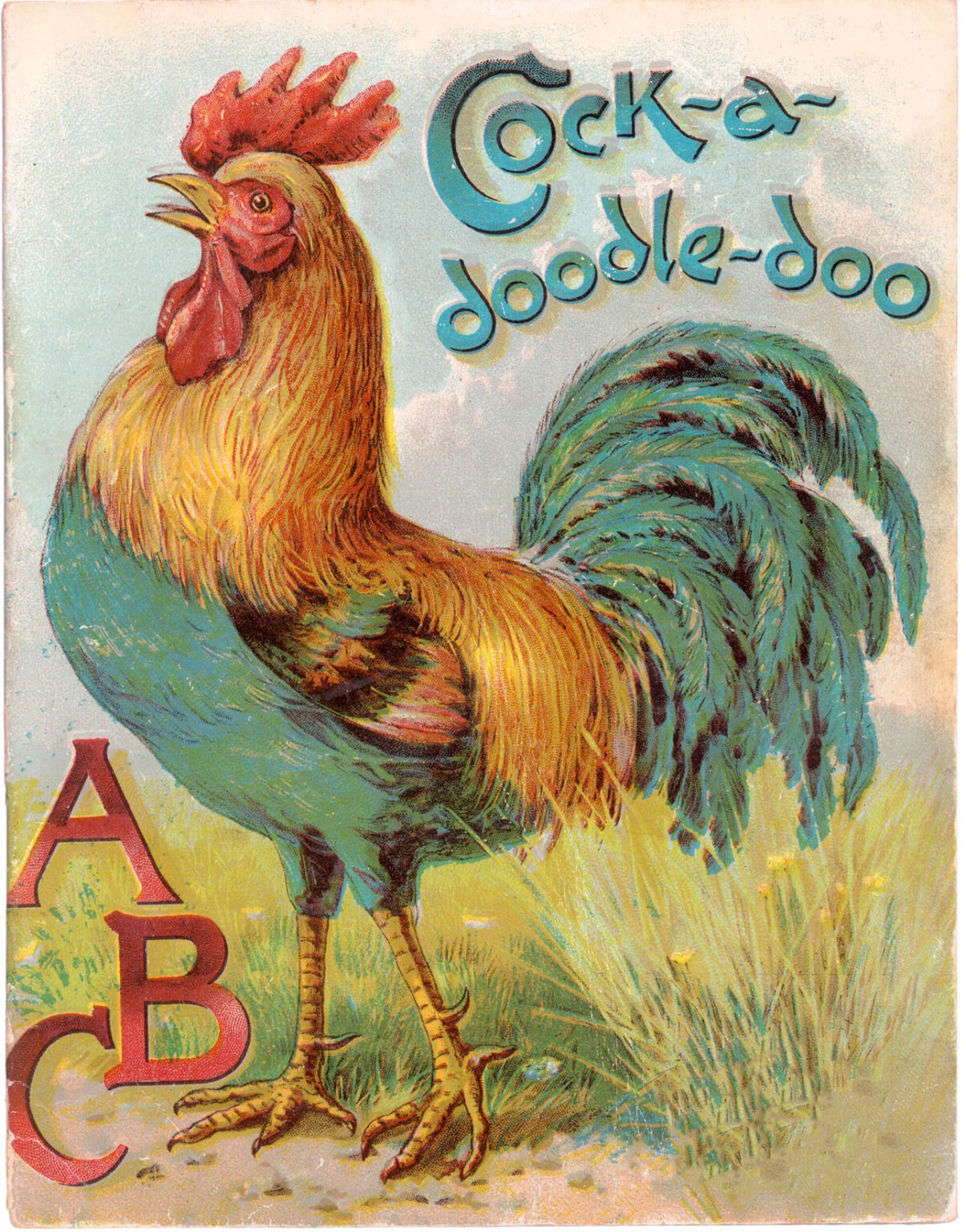 19 Rooster Images!