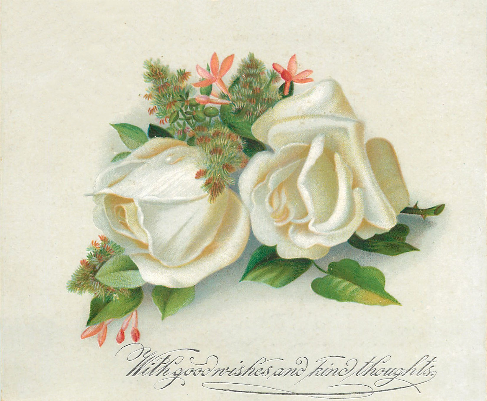 18 White Rose Clipart - Beautiful! - The Graphics Fairy